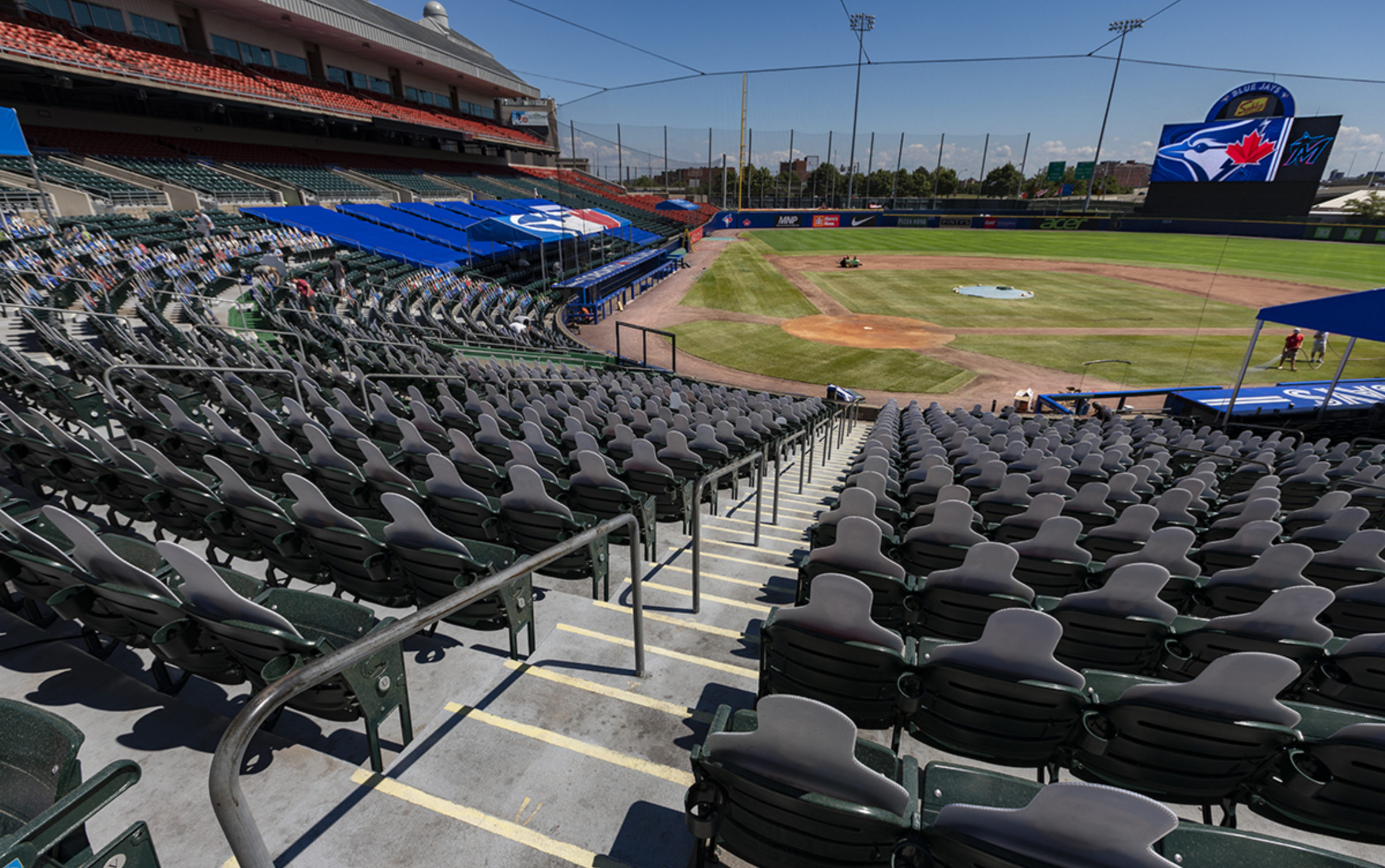 Toronto Blue Jays at Sahlen Field - BaAM Productions